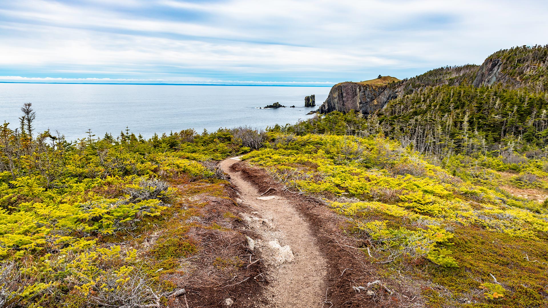 Randonnées à Terre-Neuve - Bougex